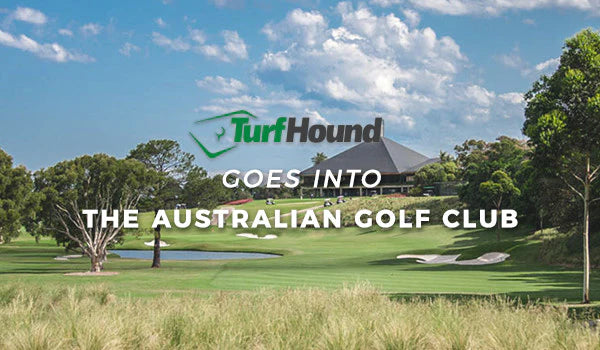 TurfHound Synthetic Turf – Country Club International